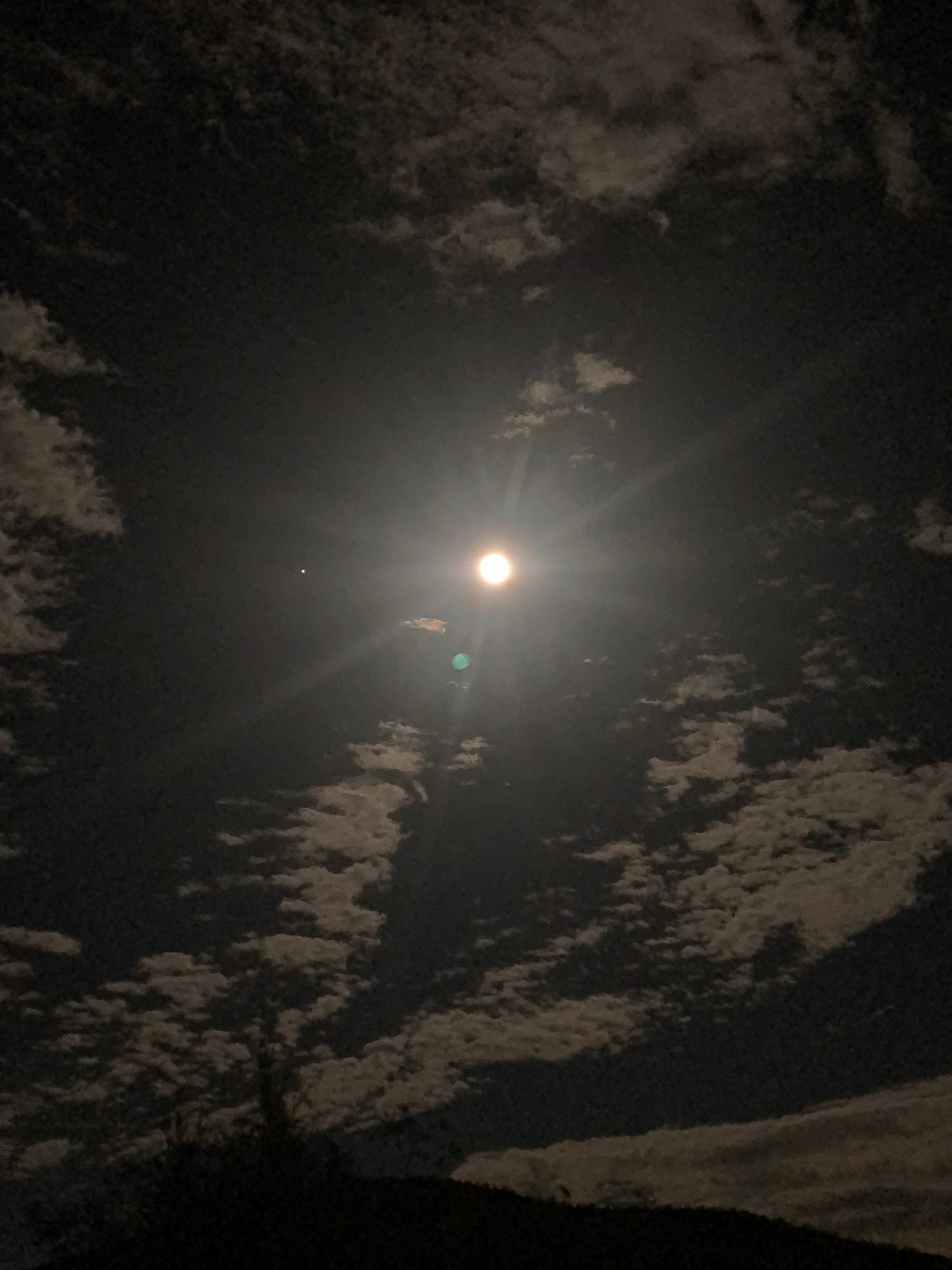 Moon Memories: Tell us about your Moon Adventures – Nature Backs