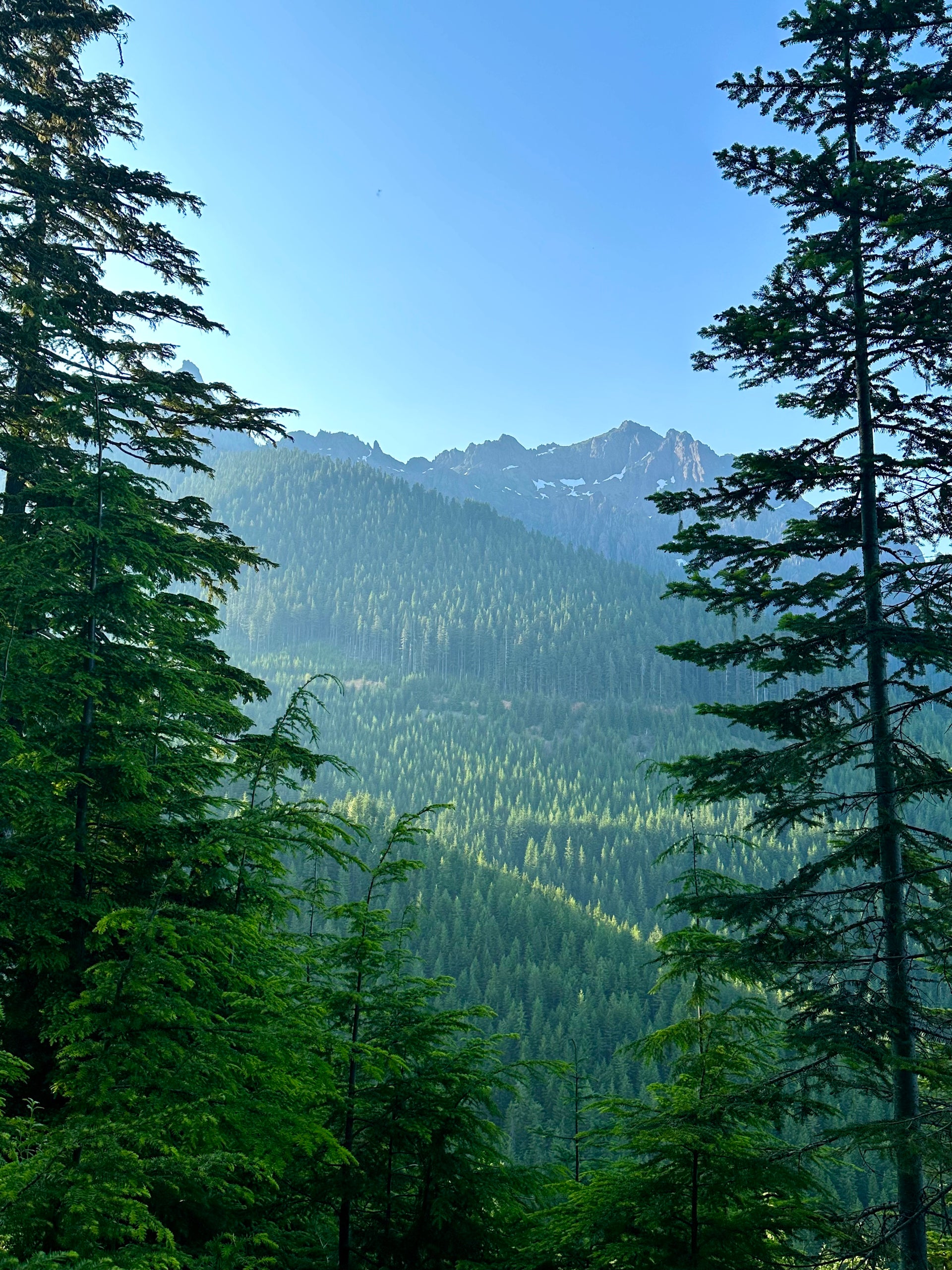 Grit and Glory in the Pacific Northwest – Nature Backs