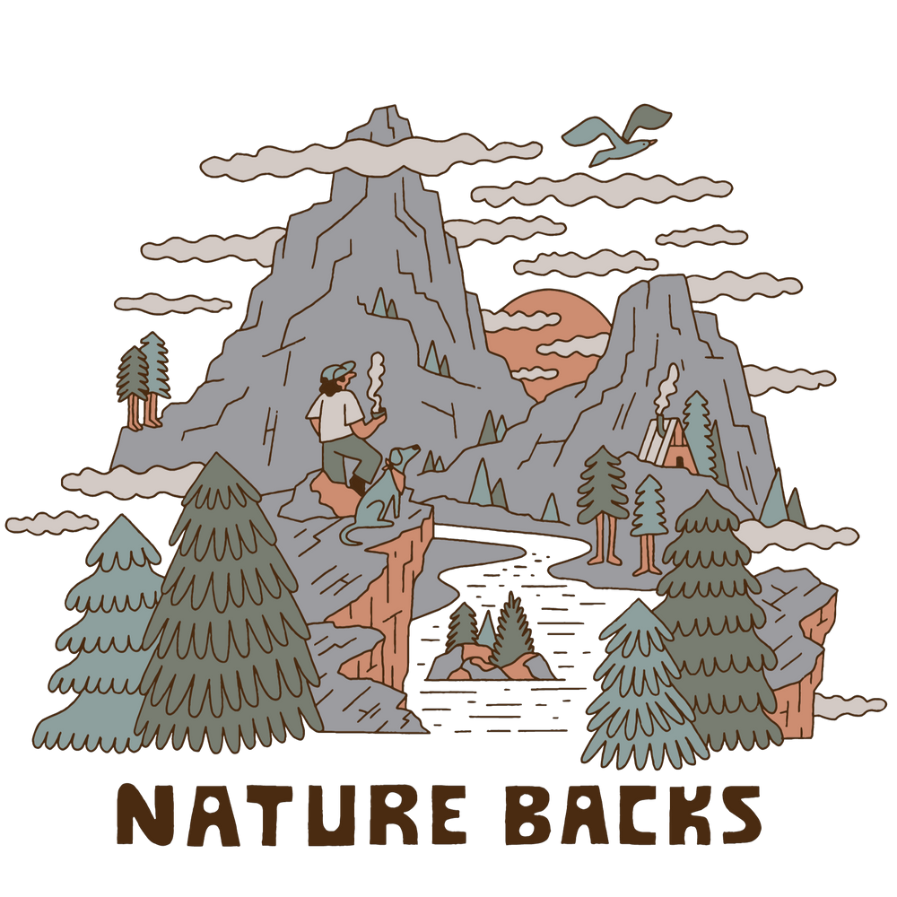 Fried Cactus Studio Creates the Sierra – Nature Backs